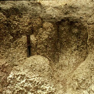 We Love Geography: Jenis dan Persebaran Tahan di Indonesia