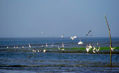Nijhum Dwip (Nijhum Island), Hatia | Islands of Bangladesh | Historicalspot Travel: Search ...