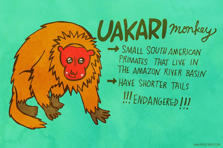 My Zoetrope: 300: Uakari Monkey