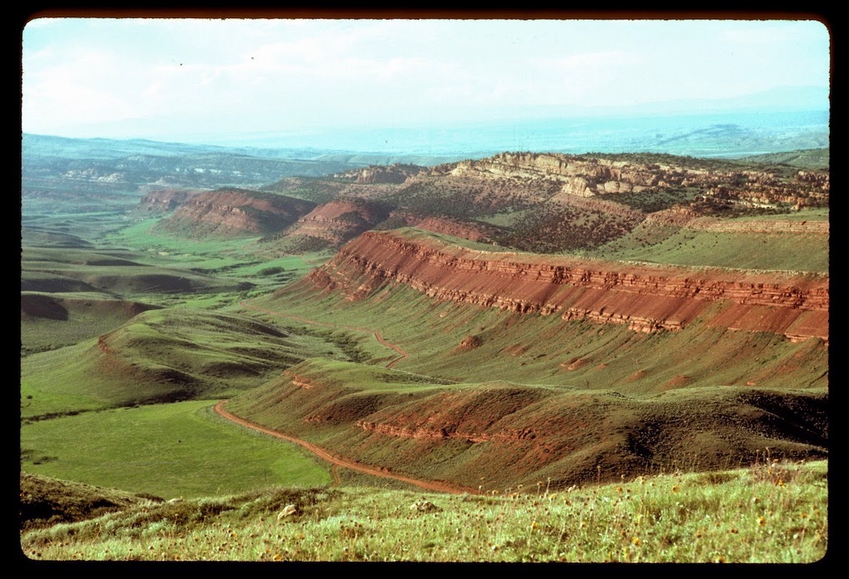 In the Company of Plants and Rocks: Redbeds