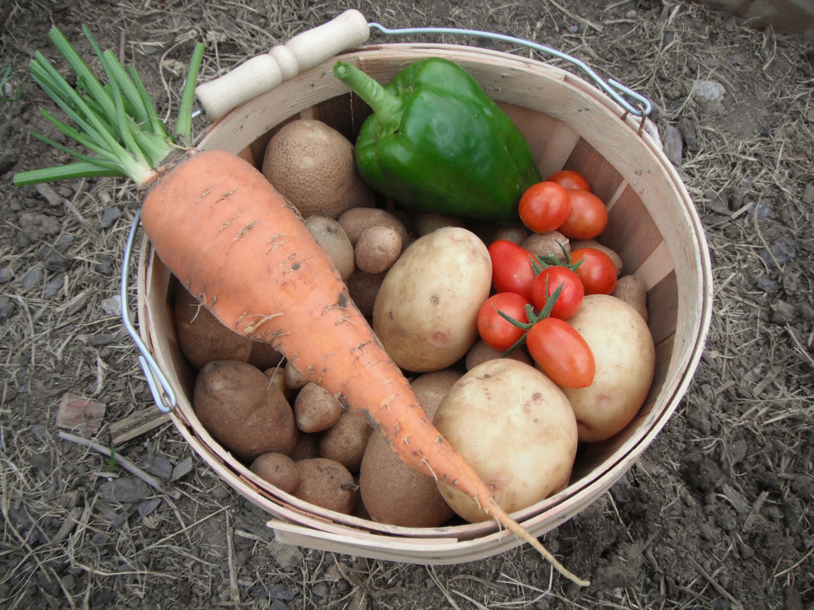 FARM LIFE LESSONS: #13 - Definition of a Farmer