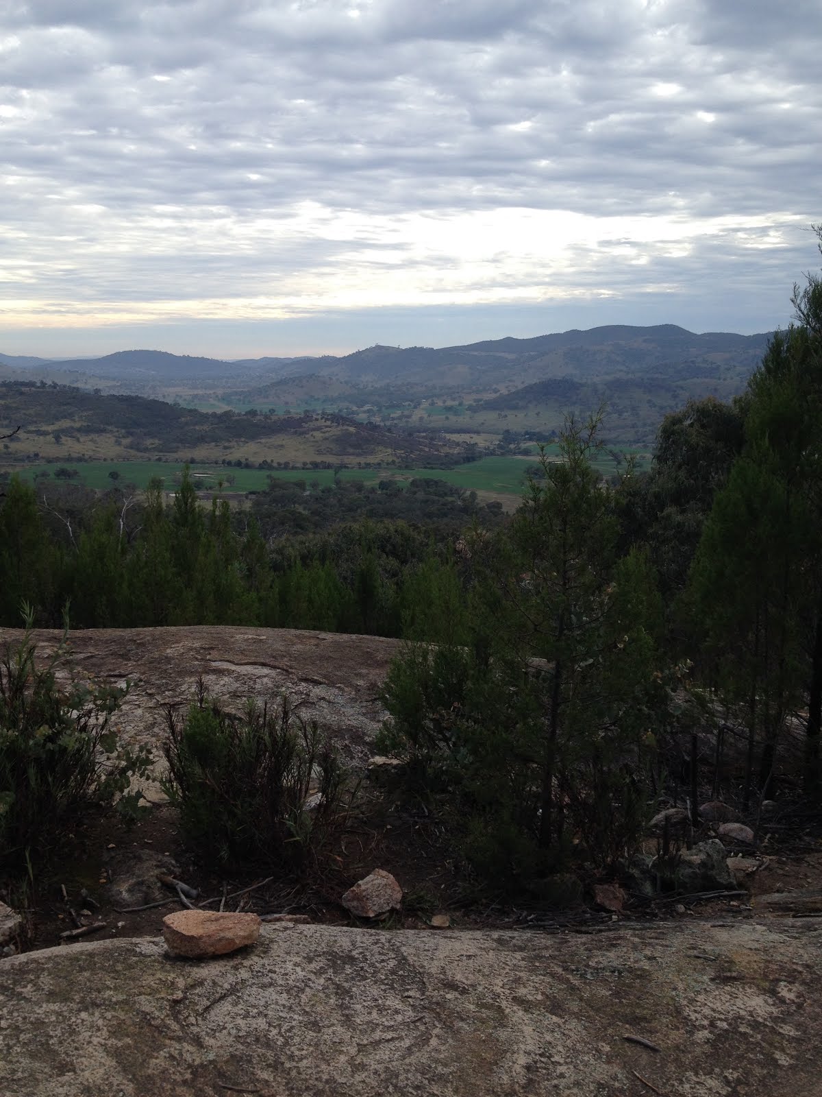 Phil's Bushwalking Blog: Namadgi National Park: Mount Tennent (2)