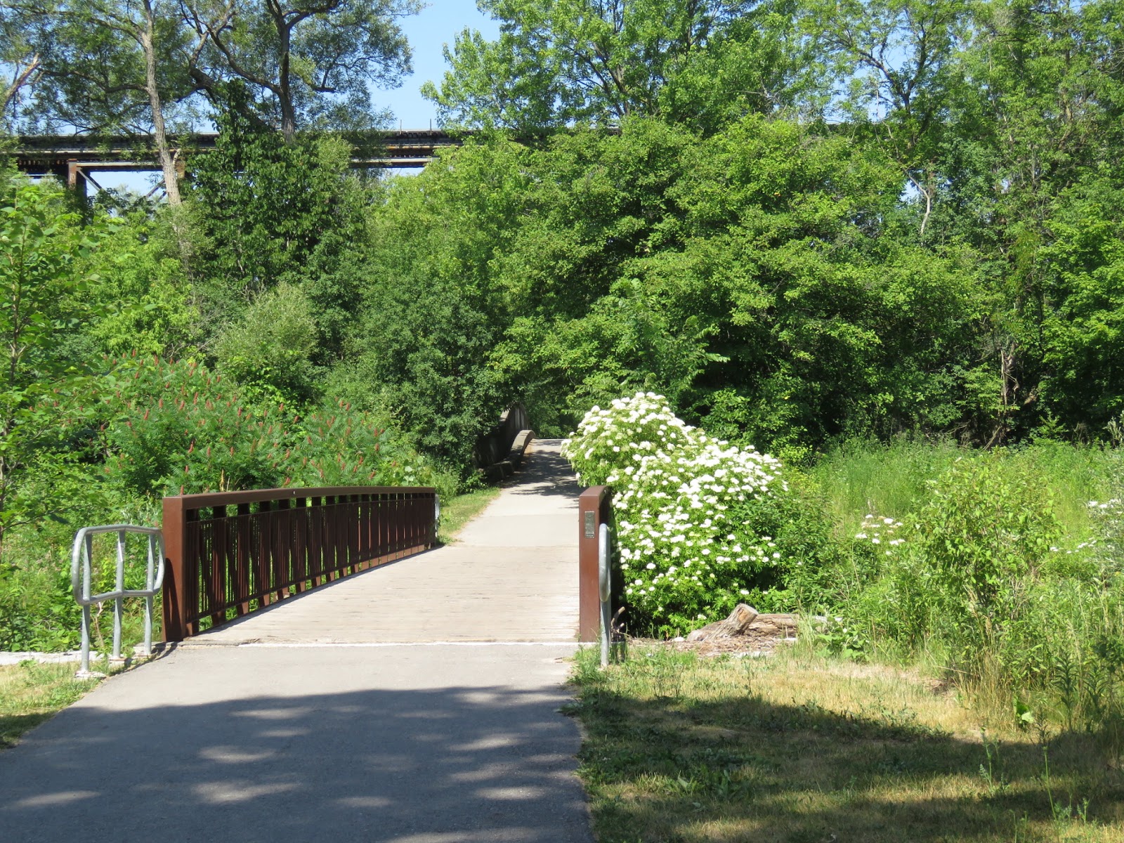 Bird & Travel Photos, Birding Sites, Bird Information: VIEWS AT E.T ...