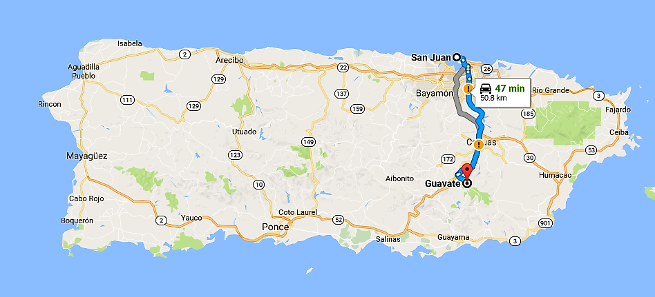 Souvenir Chronicles: PUERTO RICO: LUNCH AT A LECHONERA ON PORK HIGHWAY