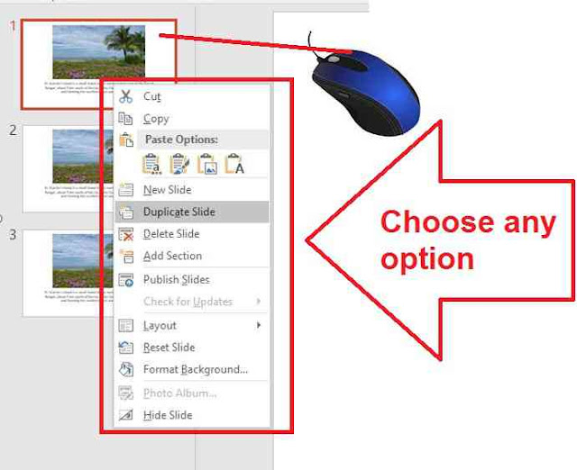 PowerPoint Basic of Slide setup | HrTech-TutorialsPoint