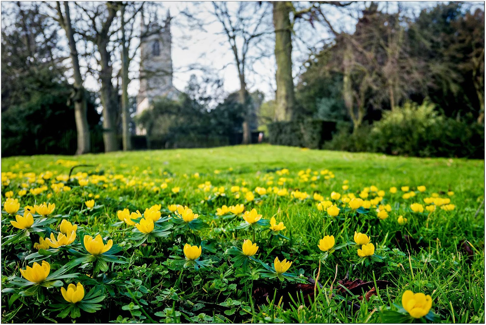 Lincolnshire Cam: Hackthorn Hall (Set 4 of 4)