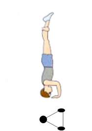 Ginastica: Ginastica