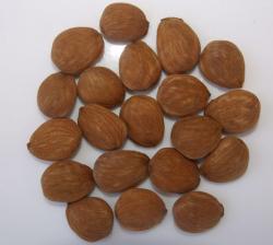 todoalmendras: Almendra Marcona