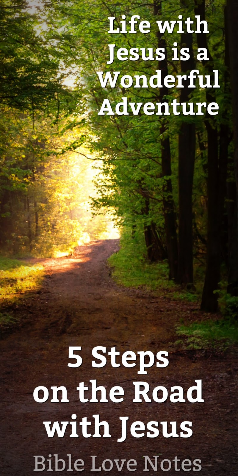 Bible Love Notes: 5 Elements of Our Adventure With Christ
