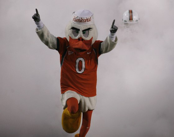 Sebastian the Ibis - University of Miami. | Animal Mascot and Costumes
