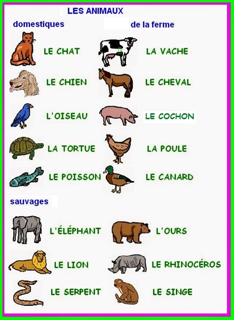 BLOG DE FRANCÉS DE LA E.S.O. (A1): Les animaux