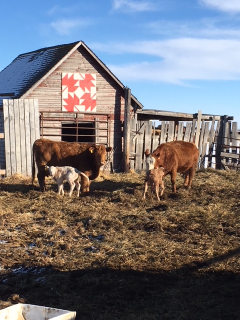 Second Story Quilting: 2018 Circle Square Ranch Retreat
