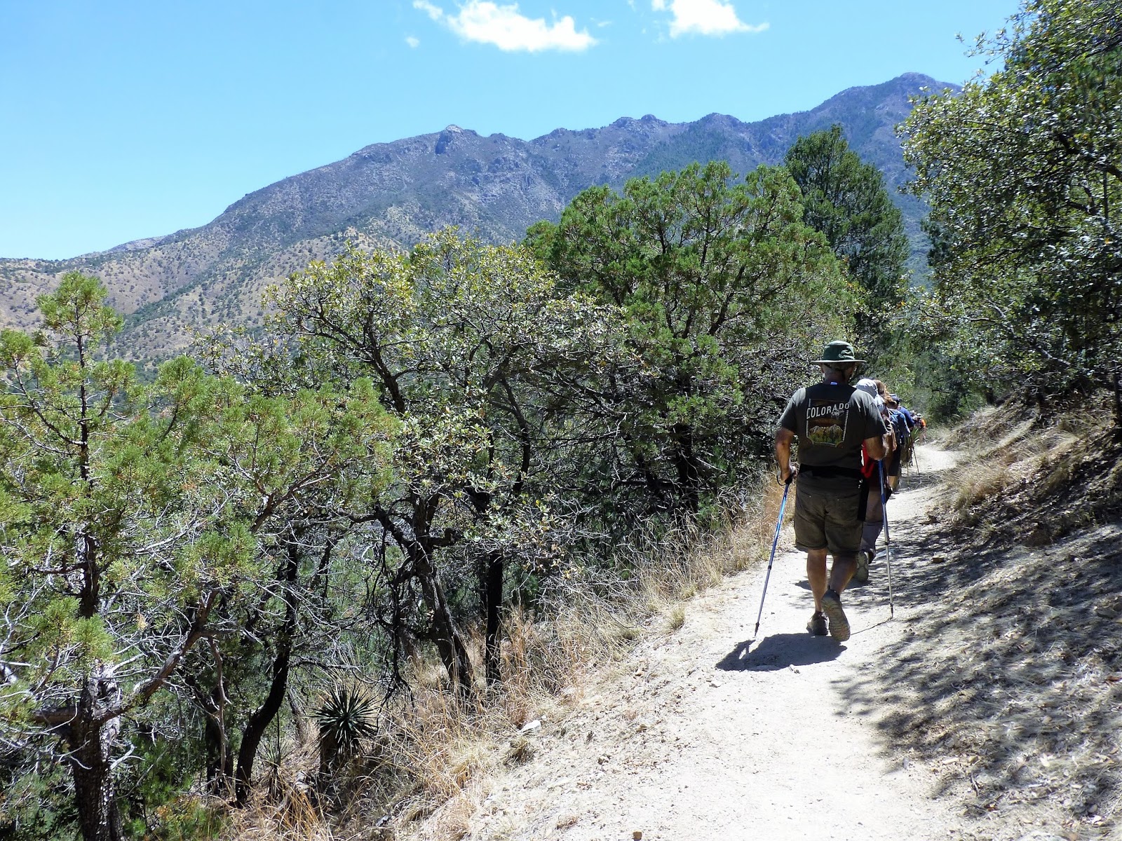 Hundewanderer.com: Hiking: Madera Canyon, Nature Trail