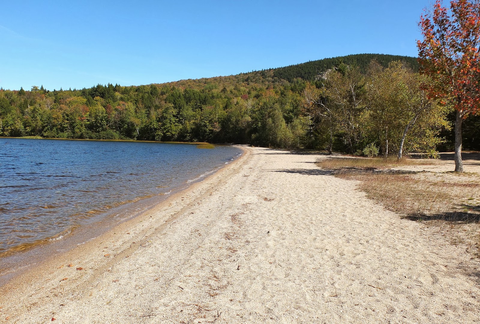 Hiking in Maine with Kelley: 9/27/13 Downeast Sunrise Trail part II