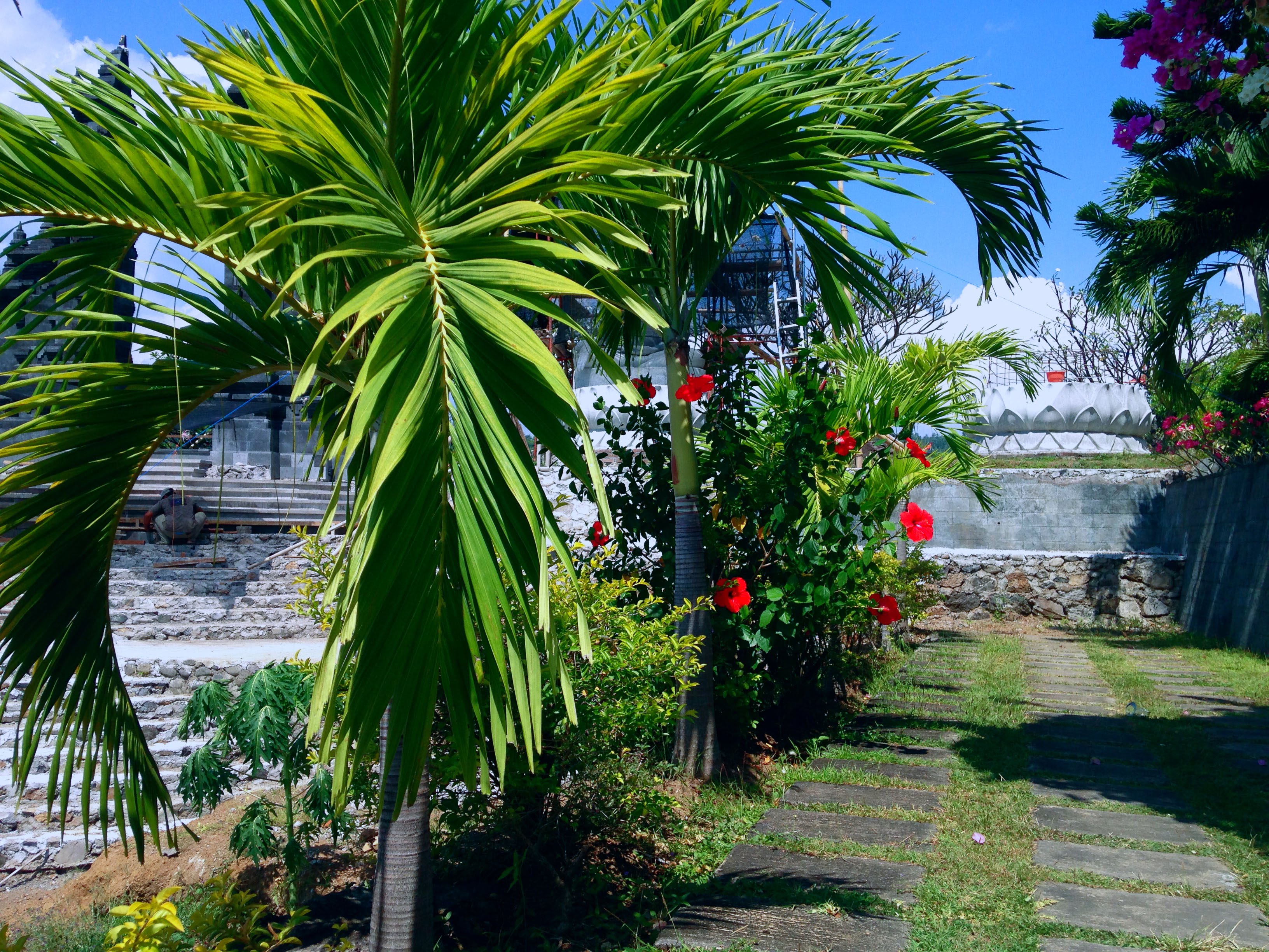 Graphic Photography and Vector Images Gallery | Agratitudesign Impression