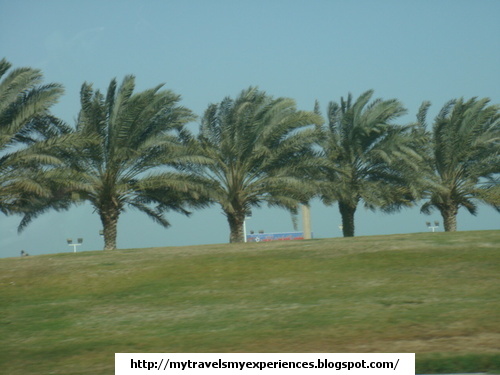 My Travels,My Experiences: How Green is Kuwait?