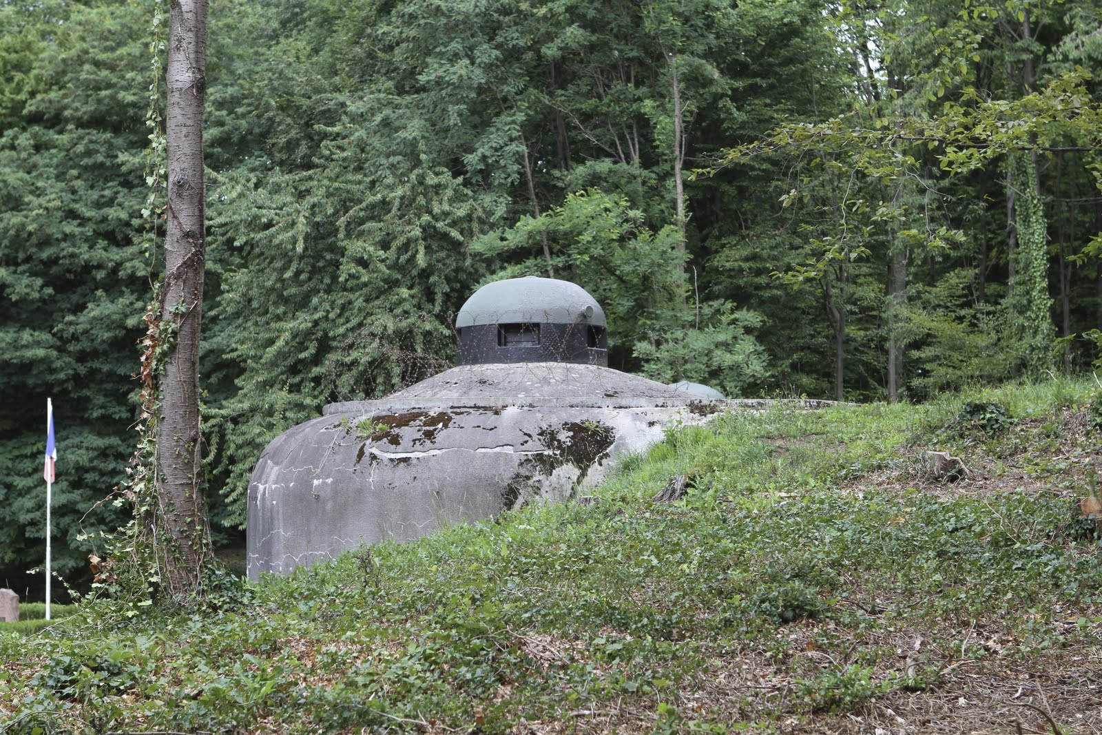 The Maginot Line