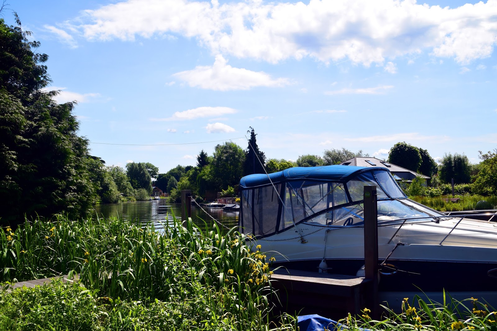 Enjoy your time with beautiful places: Towards to Shepperton Lock on ...