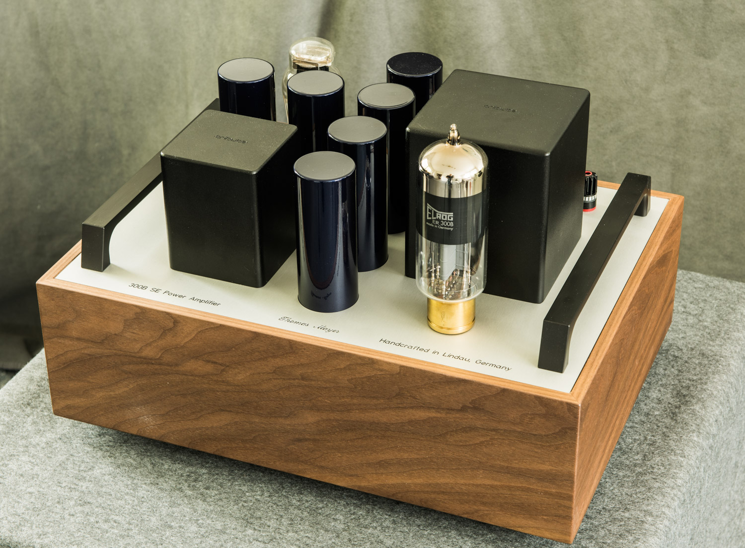 VinylSavor: 300B Mono Amplifiers Landscape Style - Part 2