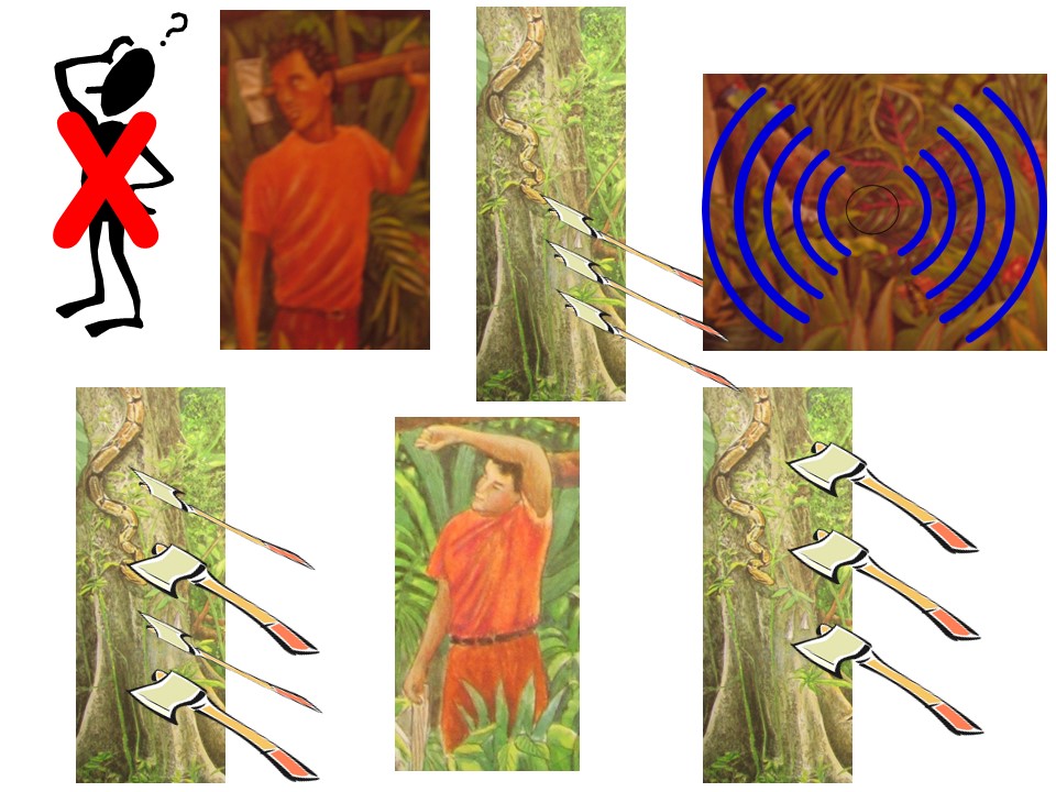 J4 Hunter's Bar Juniors: The Great Kapok Tree Story Map