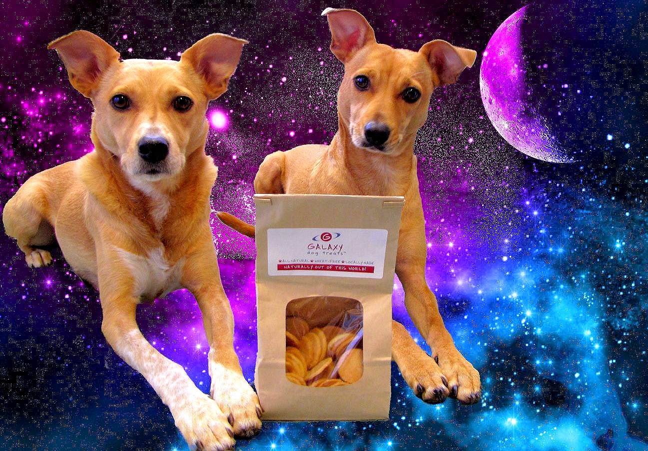 ZoePhee: Galaxy Dog Treats Review!