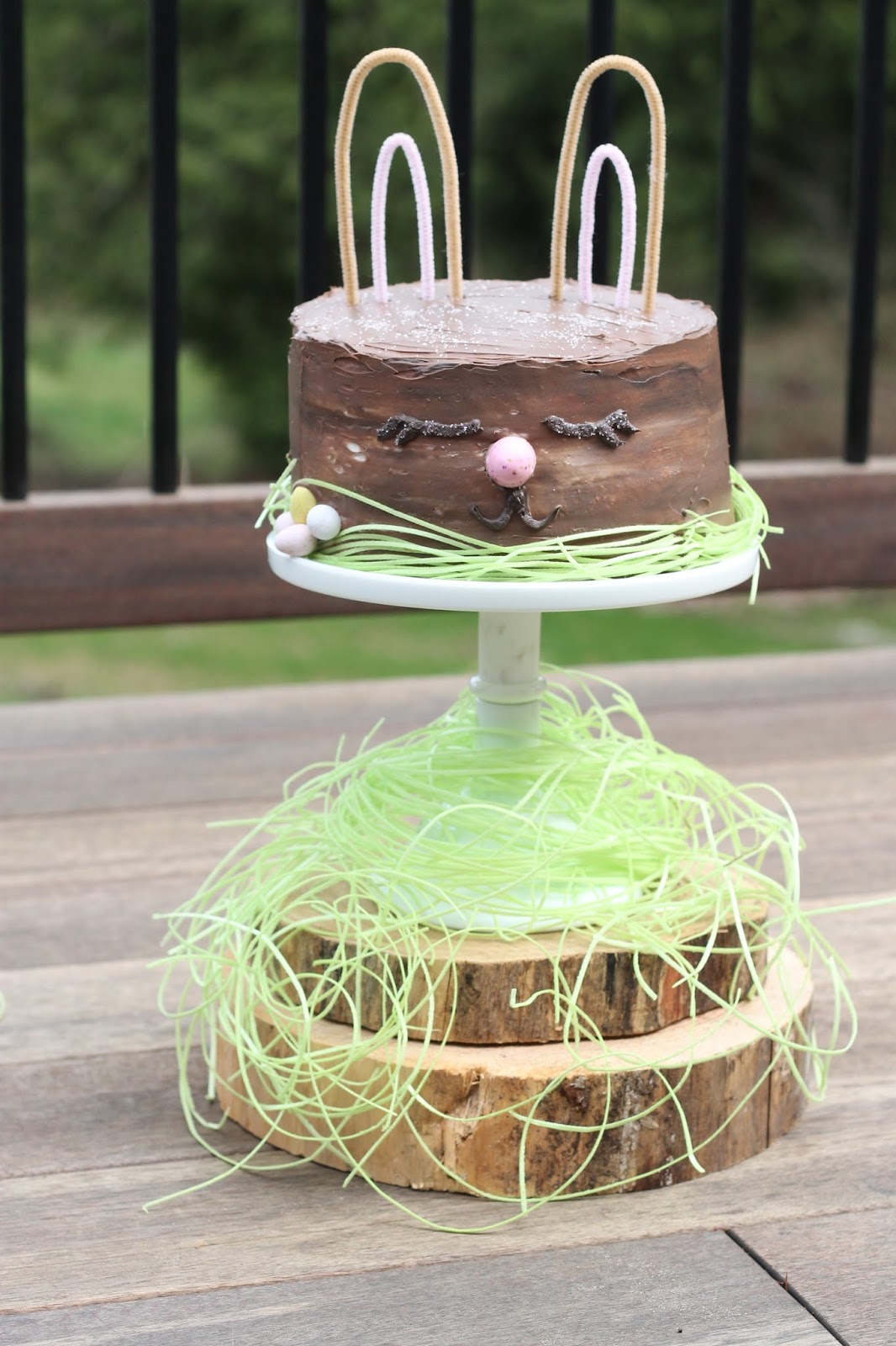 Peter Cottontail Bunny Cake | AK Party Studio
