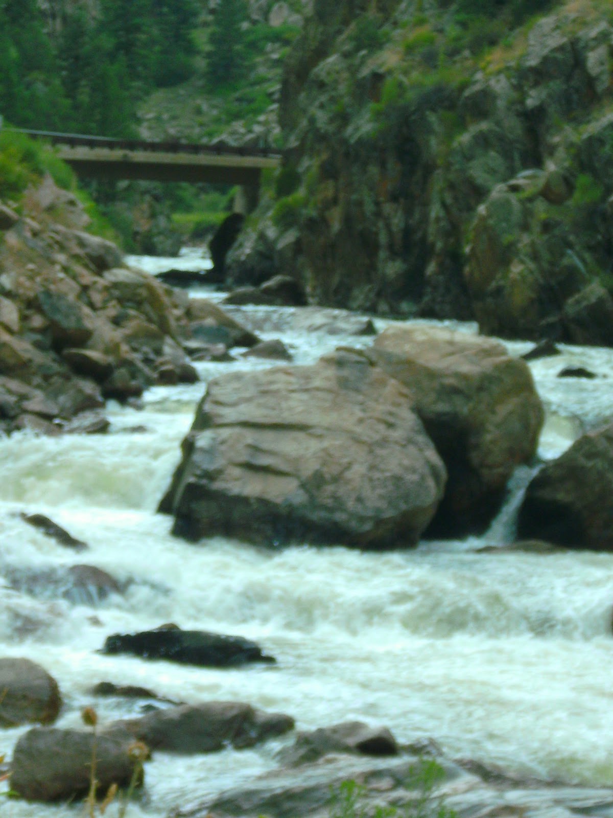 Explore Colorado: Poudre Valley River-Wading