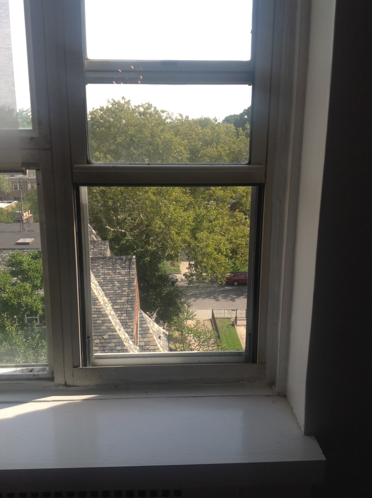 Step 8: Stand back and admire your handiwork. For $10 your window ...