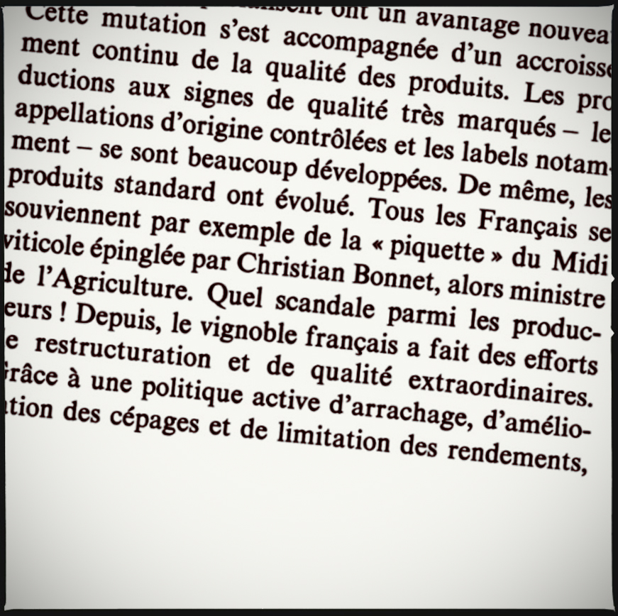 La piquette, cette boisson branchée?