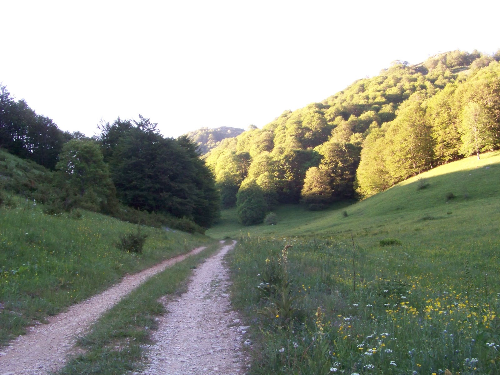 LAZAROPOLE MACEDONIA: LAZAROPOLE & MOUNT BISTRA 2011/2012 - PHOTOS BY ...