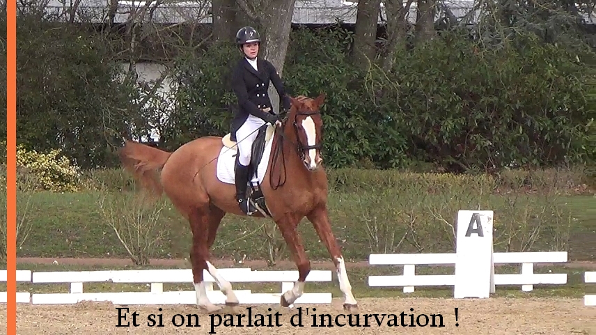 Ce qu'il faut savoir sur l'incurvation