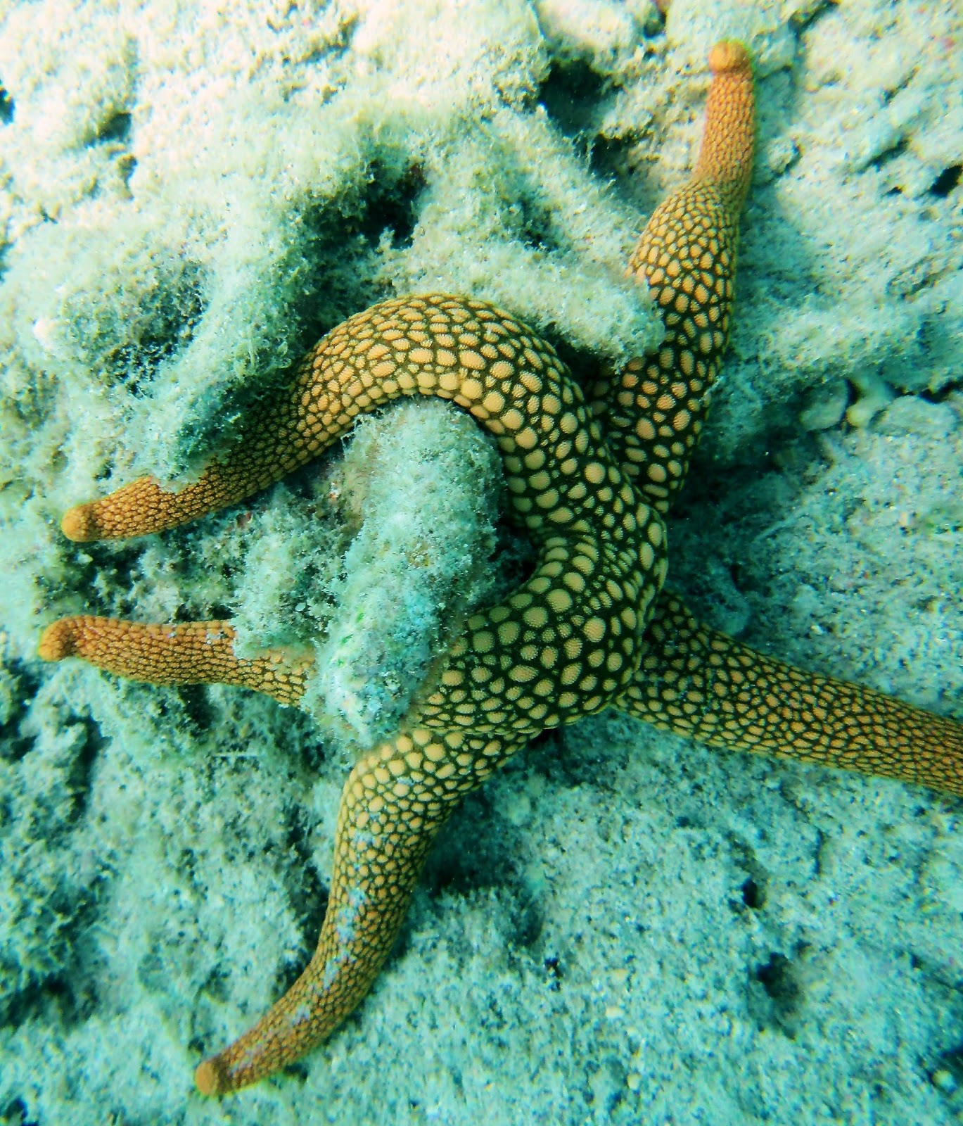 North Queensland Trip, Part 3