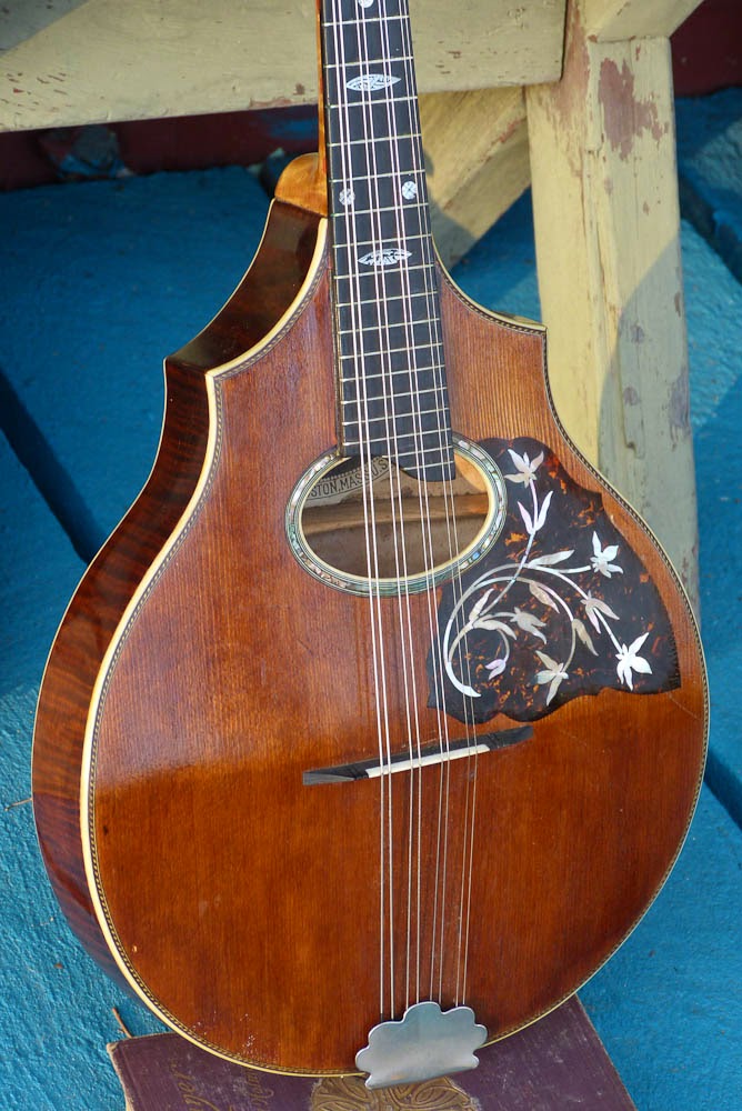 c.1919 Vega Cylinder-back Mandolin