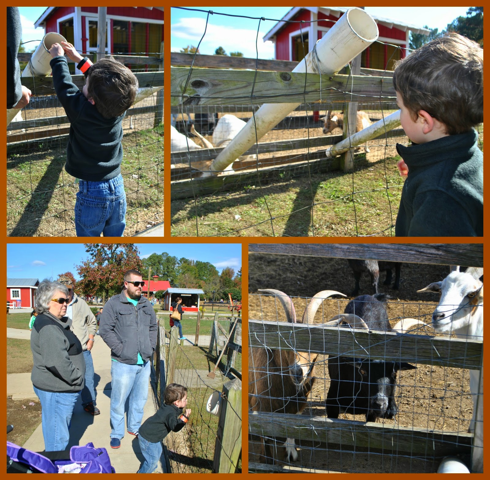 P + L + G + G: Hill Ridge Farms