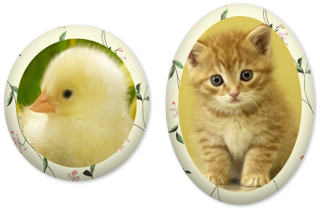 How to Add Photo Frame Effect to Images using Pure CSS