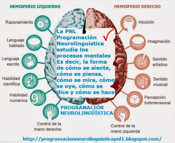 Programación Neurolingüística Pnl 1 1 IntroducciÓn A La Pnl Que Es Pnl