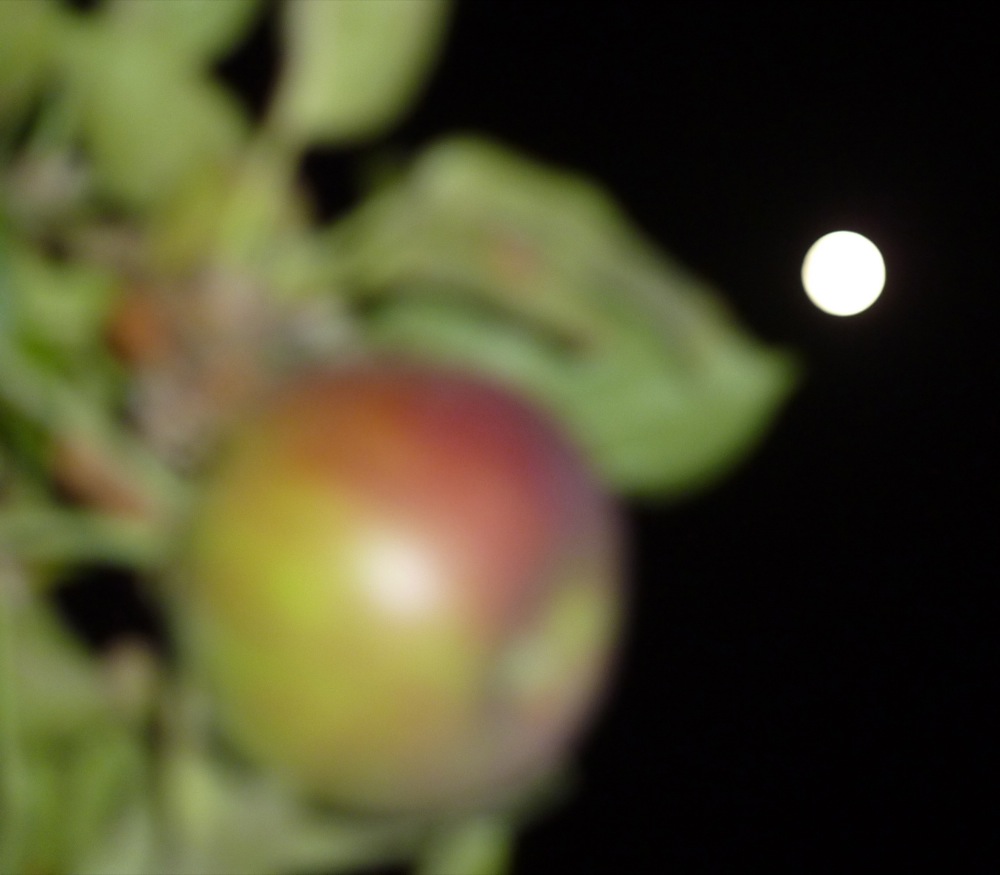 mostly threads: How full is the moon?