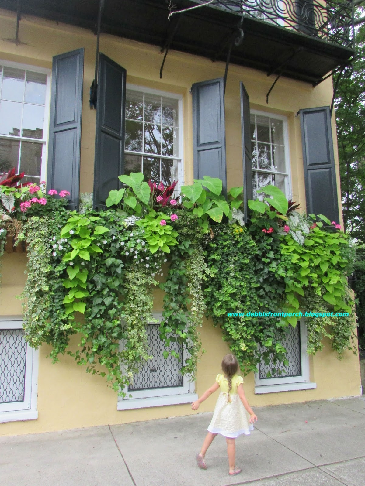 Debbi's Front Porch: Window Boxes
