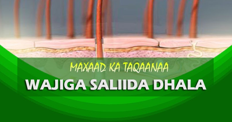 SIDE LOO DAWEEYA AMA LOOGA HOR TAGAA SALIIDA WAJIGA EE DABIICIGA ...