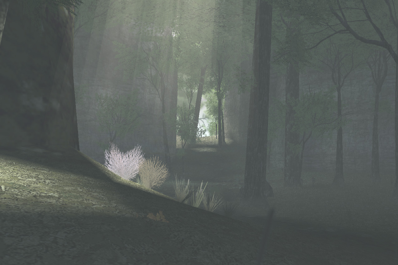 Nomad's blog: G2 Forest