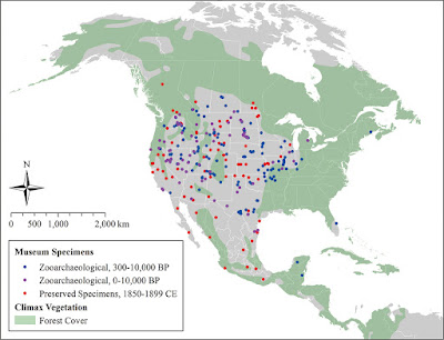Wolves, Wolf Facts, Cougars, Cougar Facts, Coyotes, Coyote Facts ...