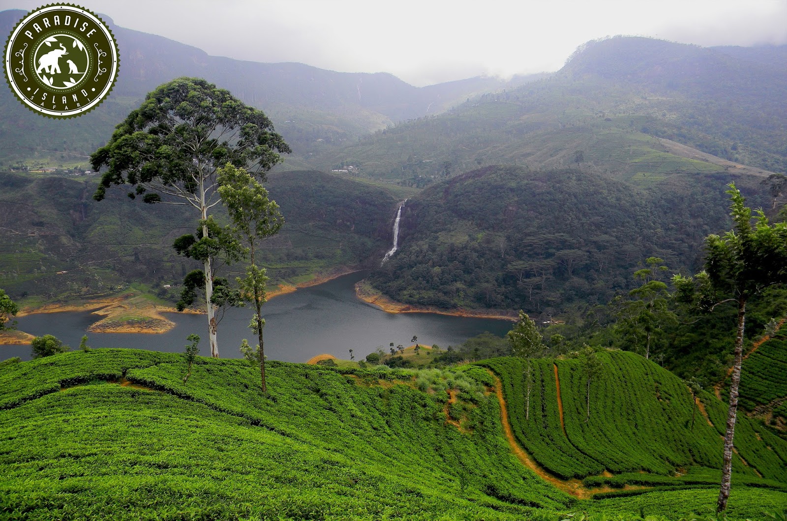 Safari Sri Lanka: Central Highlands of Sri Lanka - Declared as a World ...