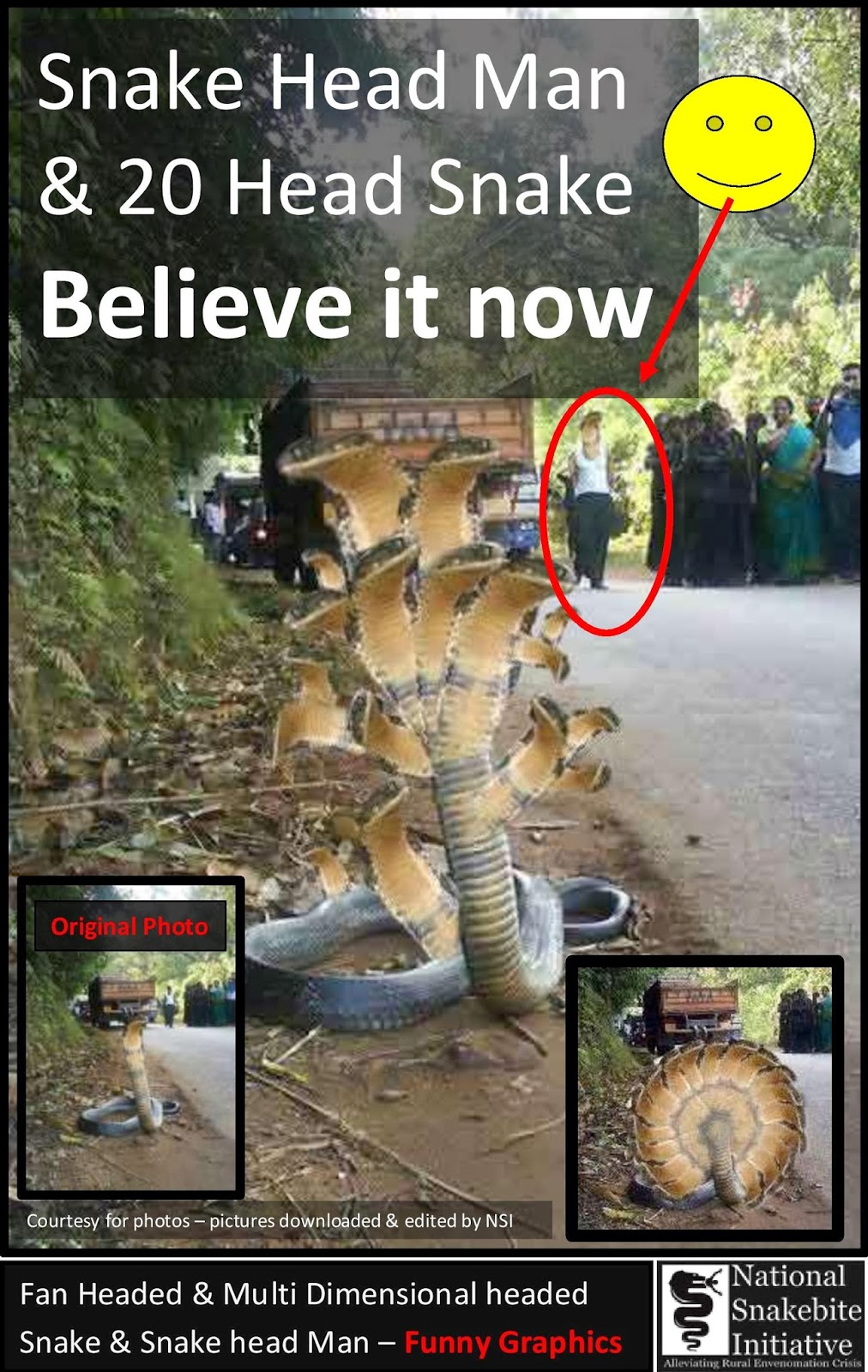 5 Headed Snake Original