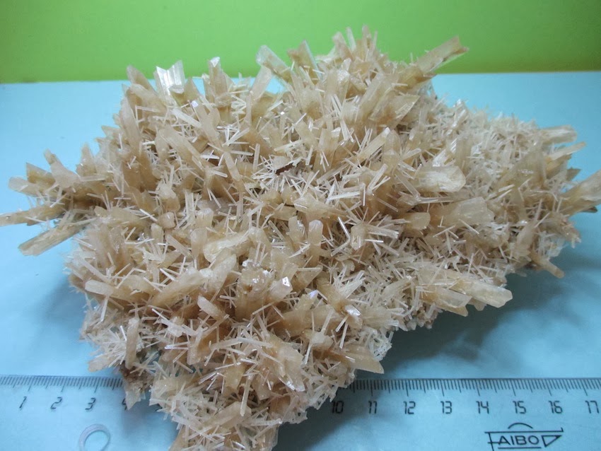 Asociación Mineralógica Aragonito Azul-Área de geología y paleontología ...