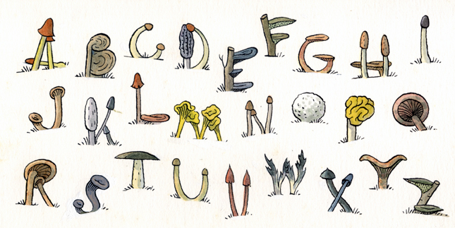 el hombre duerme, el fantasma no: Y aún mas hongos