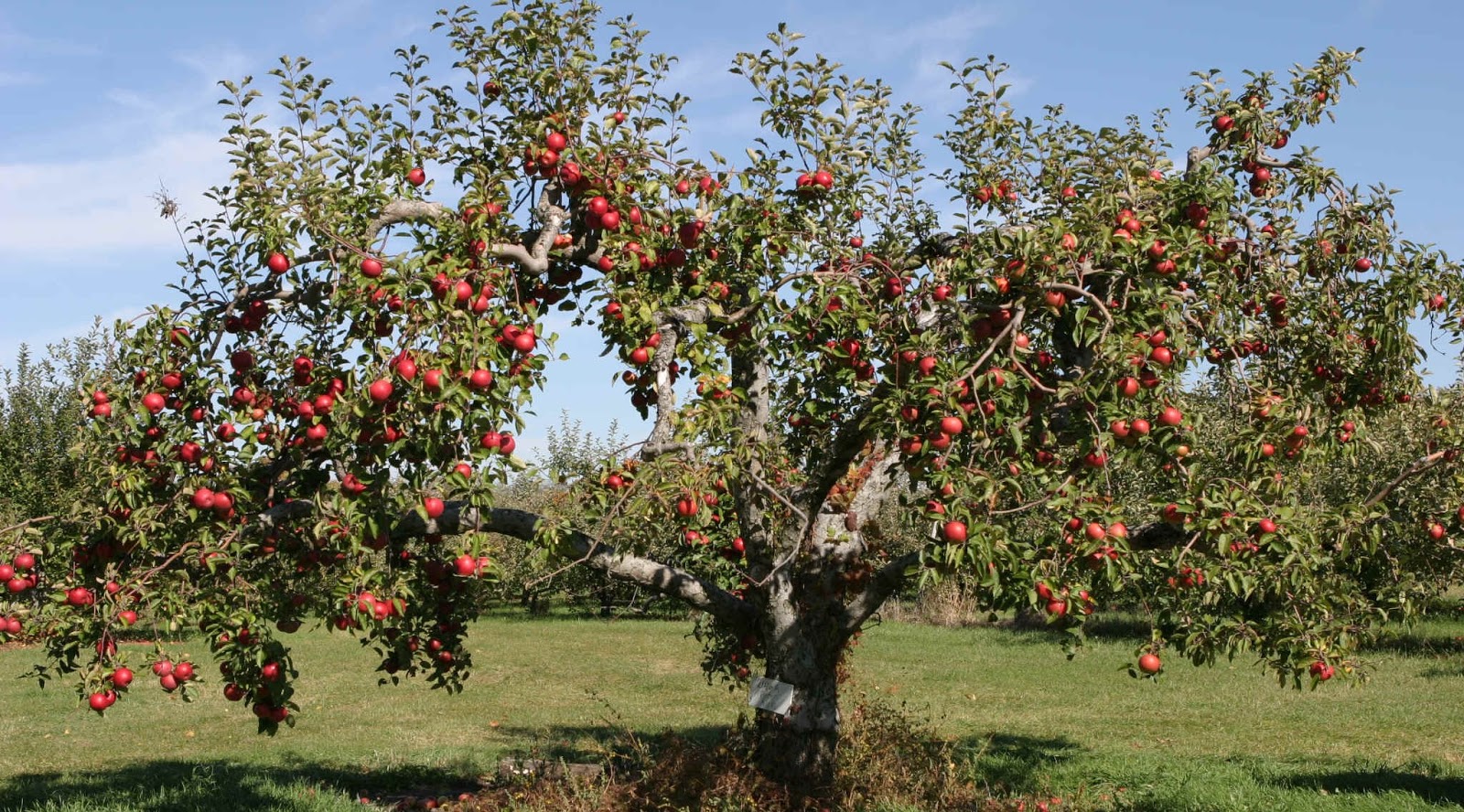 art challenges technology, technology inspires art