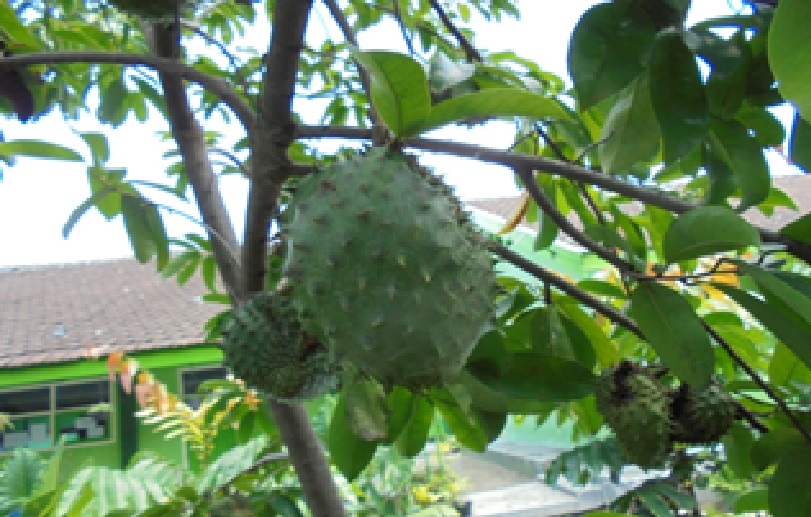 SMP NEGERI 1 PAGU, KEDIRI: Agustus 2018