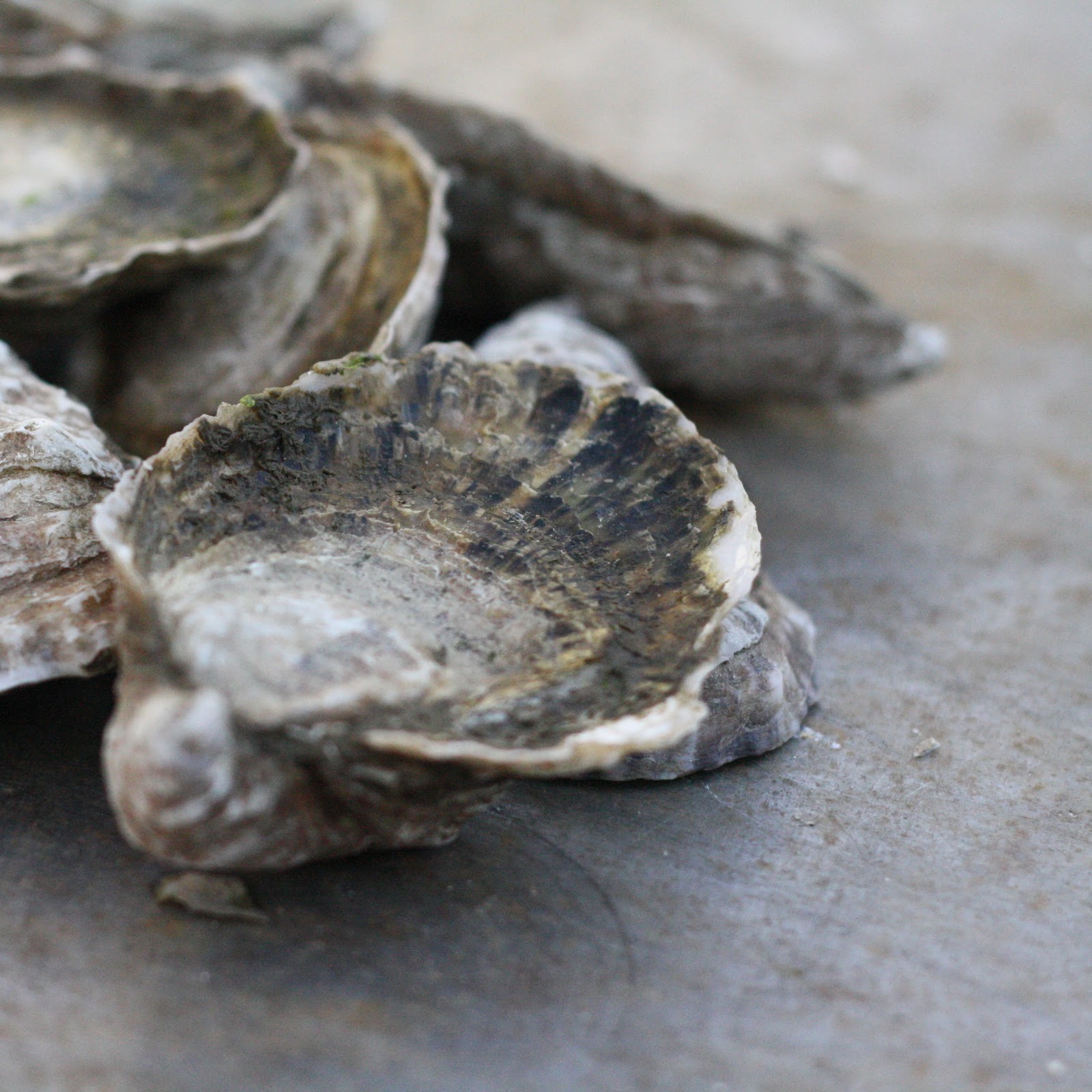 Diary of a Locavore: The Local Food Report: tumbling oysters