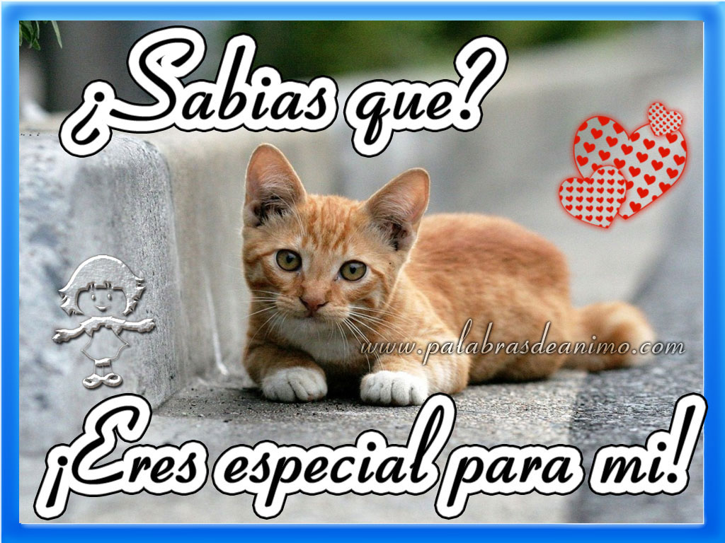 TE AMO PARA SIEMPRE: ERES MUY ESPECIAL EN MI VIDA