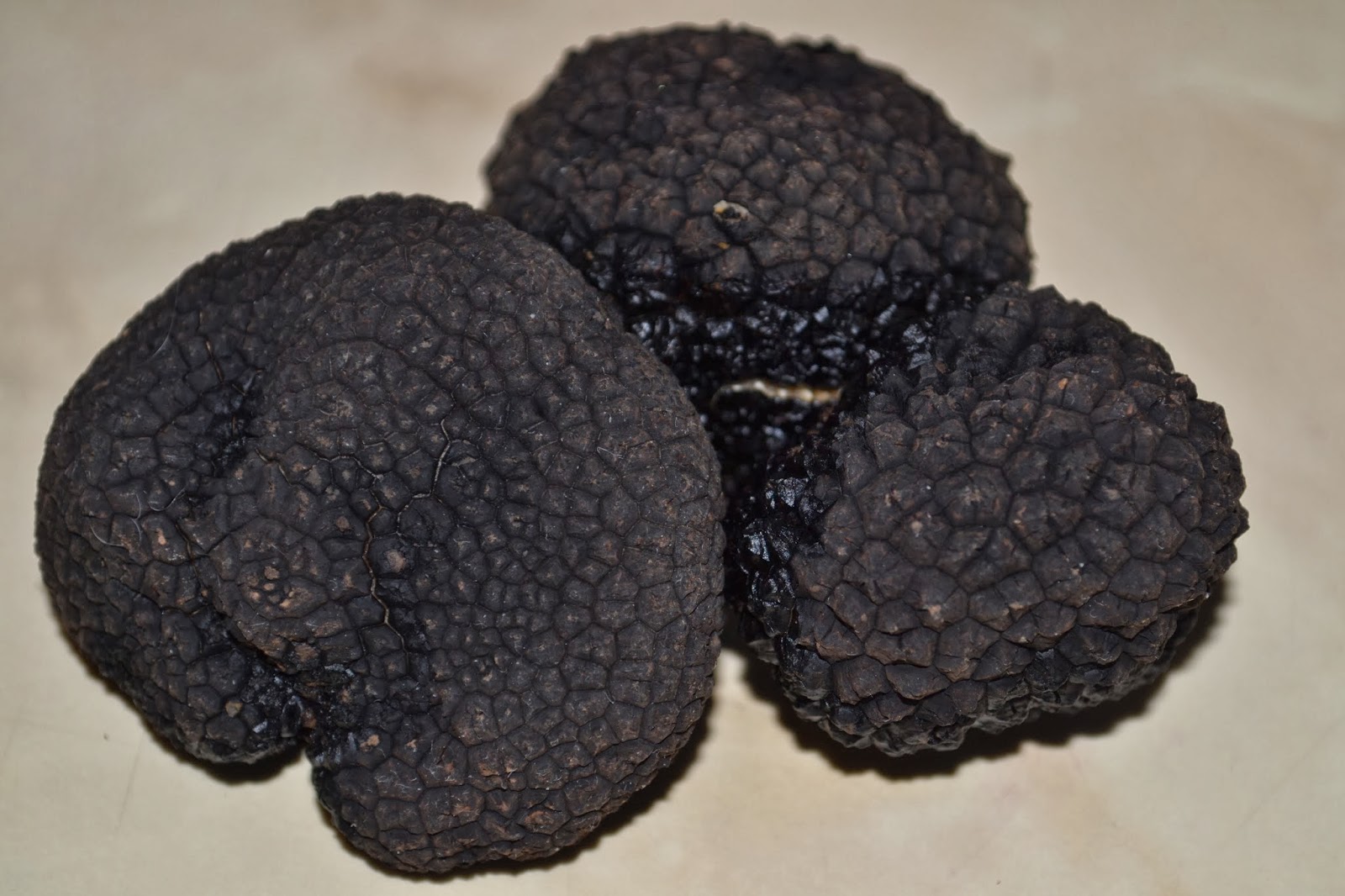 Trufe Romania Albe si Negre